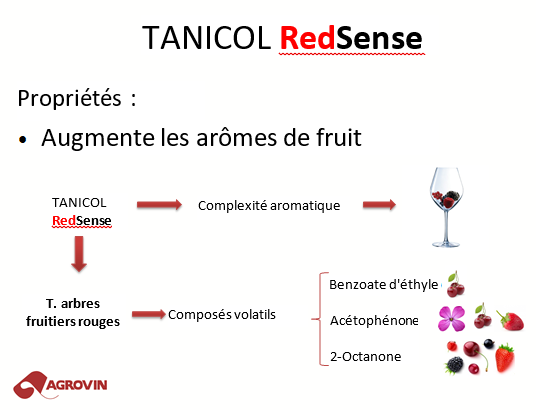 La puissance des tannins dans le vin | Agrovin